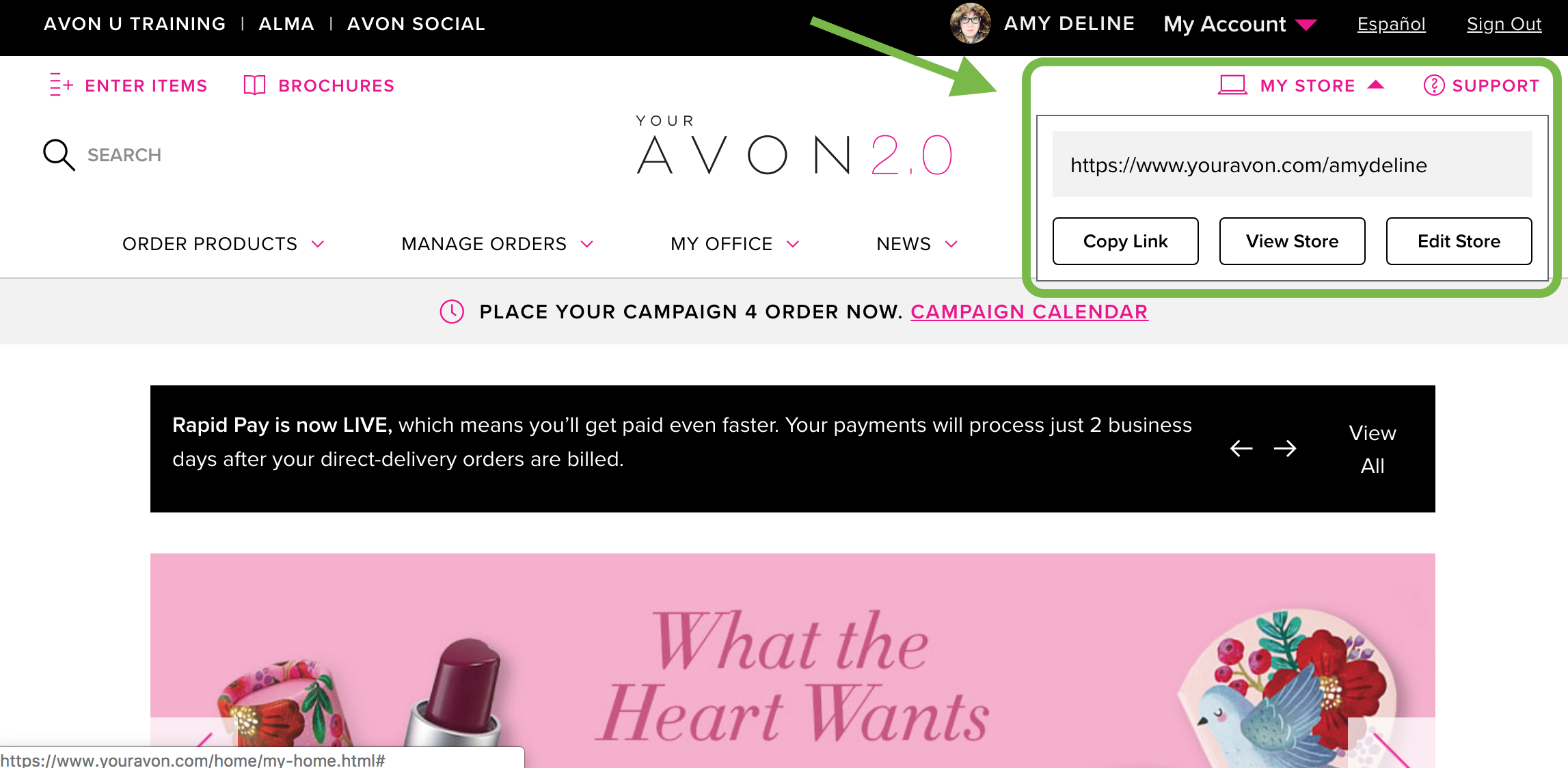 Sell Avon Online – Who, What, Where, When, Why and How – Look, Feel ...